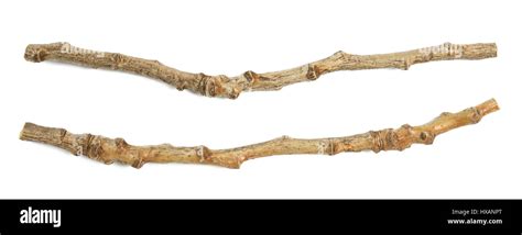 Things To Do With Small Branches At Isabel Lacey Blog