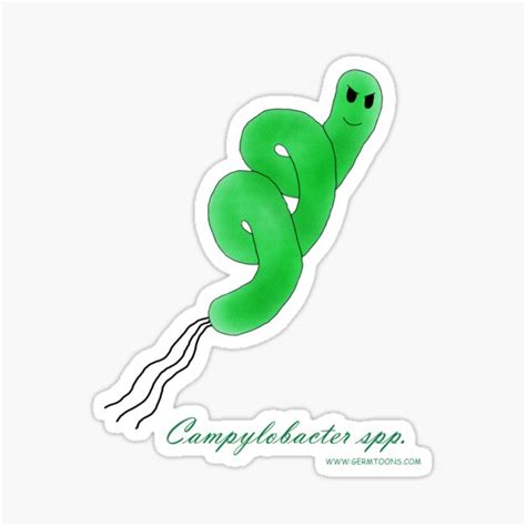 Cartoon Campylobacter Spp Sticker For Sale By Matal Redbubble