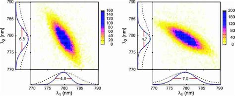 Multiphoton State Preparation
