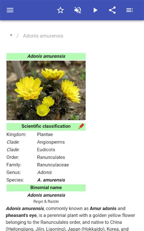 Medicinal Herbs Apk For Android Download