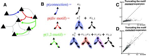 A Various Motifs Are Identified Throughout The Neural Network Their Download Scientific
