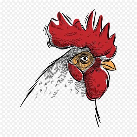 矢量手绘鸡头免费下载png图片素材下载图片编号qkpkgrkr 免抠素材网