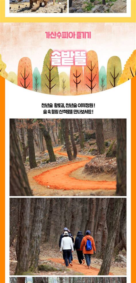 경상도 워터파크 칠곡 가산수피아 입장권 마이리얼트립