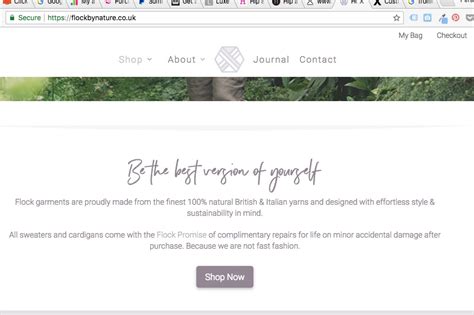 Custom Font Not Working On Mobile Phones Support Themeco Forum