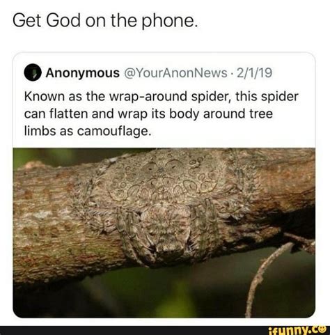 Imagine Climbing A Tree And Grabbing This Branch Get God On The Phone Anonymous