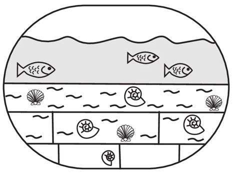 Late Paleozoic Oxygenation Of Marine Environments Supported By Dolomite U Pb Dating The Fredy