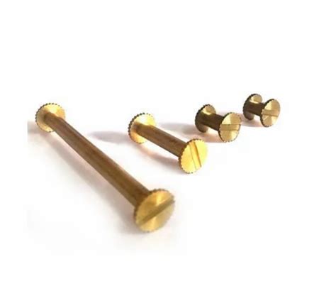 Brass File Screw At Rs Piece Brass Components In Jamnagar ID