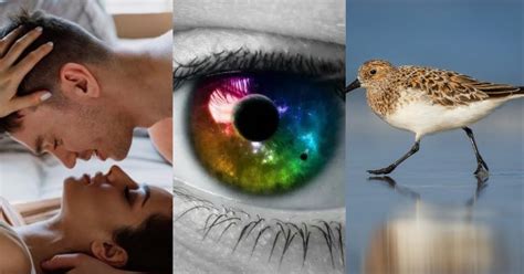 Qu Se Celebra El De Septiembre Hoy Es El D A Del Sexo El D A Del Daltonismo Y El D A De