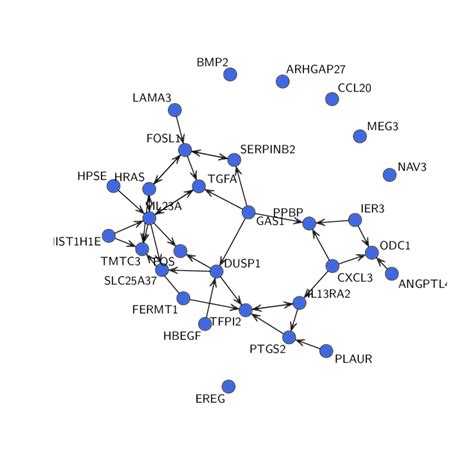 Directed Graph Representing The Topology Of The Network Inferred From Download Scientific