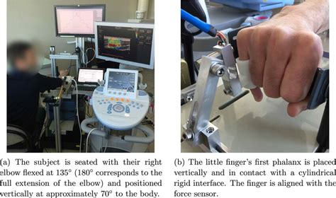 Experimental Setup Including The Custom Made Force Measurement System Download Scientific