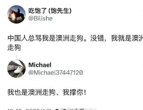 二月花（fo必回） On Twitter 以狗之名刷存在感，狗招谁惹谁了 殖人蠢事