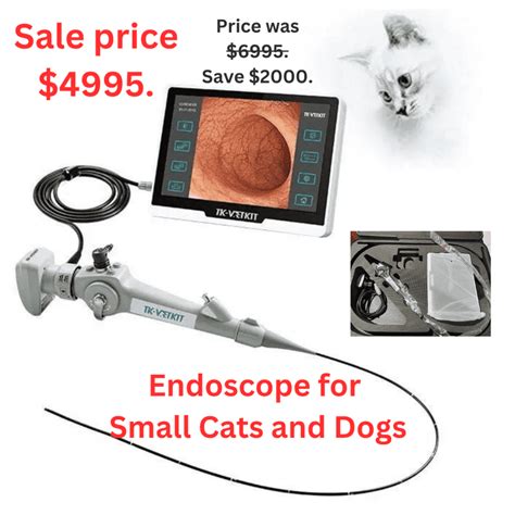 Choosing An In House Veterinary Chemistry Analyzer