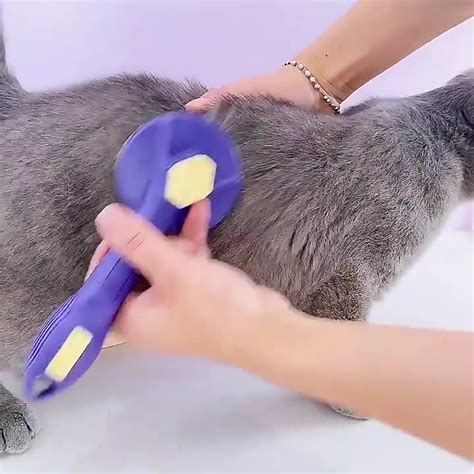 宠物针梳拉毛专用猫梳子去浮毛狗狗猫咪梳子宠物梳毛猫毛梳浮毛梳 阿里巴巴