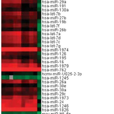 A Partial Heat Map Of The Global MiRNA Expression Profiles And