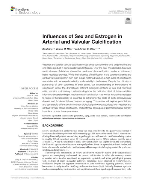 Pdf Influences Of Sex And Estrogen In Arterial And Valvular Calcification