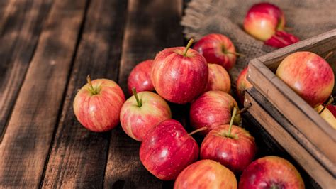 나무 상자에 유기농 잘 익은 붉은 사과 가을 철에 수확 Cornucopia 나무 테이블 배경 신선한 과일 계절에 대한 스톡 사진 및 기타 이미지 Istock