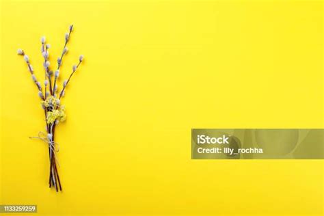 부활절 배경입니다 옐로우 종이에 버드 나무의 꽃다발 행복 한 축제 개념입니다 평면도 평평한 누워 텍스트에 대 한 공간 복사 4월에 대한 스톡 사진 및 기타 이미지 Istock