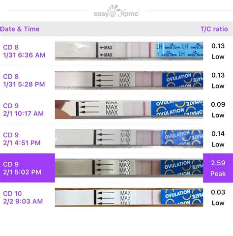 Whats Going On So I Am Doing The Ovulation Test For The First Time And This Is My Result My