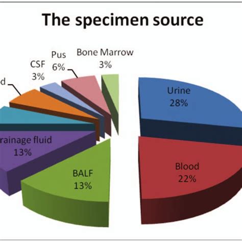 The Specimen Source Download Scientific Diagram