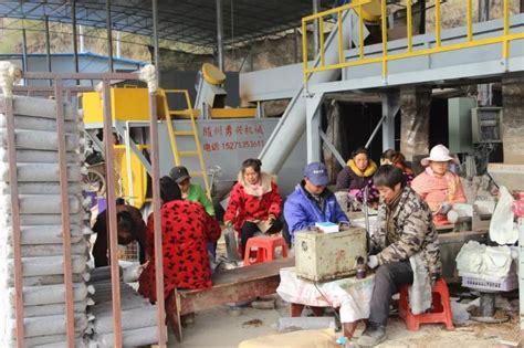 “姐妹共建·幸福家园”推选展示丨凝聚巾帼智慧，共建和美乡村澎湃号·政务澎湃新闻 The Paper