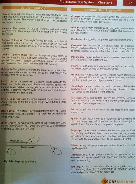 Gait Pattern Informational System