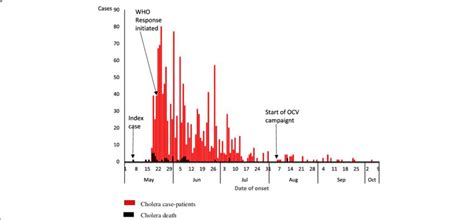 Epidemiologists Utilize The Epi Curve To Evaluate Outbreak Patterns And