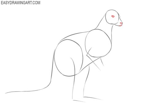 How To Draw A Kangaroo Easy Drawing Art How To Draw A Kangaroo Easy Drawing Art