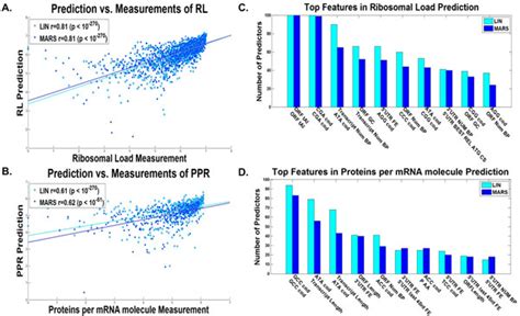 entire transcript linear and non linear predictors results dot plot of