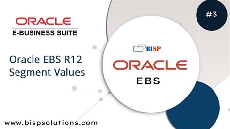 Oracle Ebs R12 Segment Values