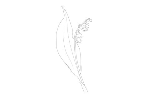 Lily Of Valley Vector Illustration Graphic By Mdshahalamxy · Creative Fabrica