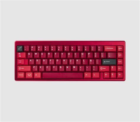 Gmk Cyl Jamón 2 Oblotzky Industries