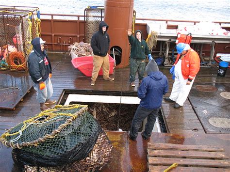 Amplify Unit 1 Lesson 13 Flashcards Quizlet