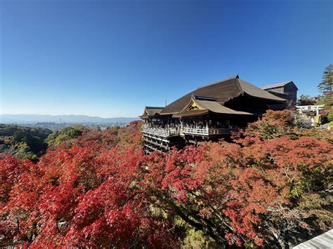 Finance Aurora Solutions