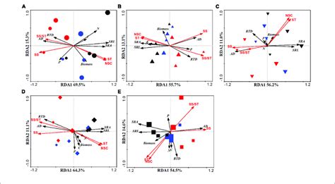 Redundancy Analysis Of Fine Root Morphological And Chemical Traits In