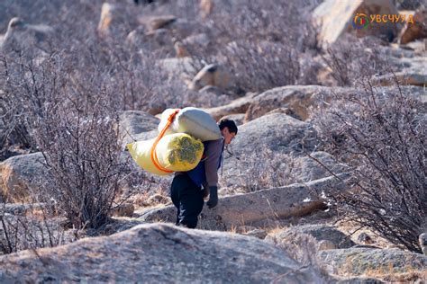 Увсчууд Увсчууд Added A New Photo