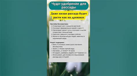 Лучшая ПОДКОРМКА для РАССАДЫ огород рассада удобрения Youtube