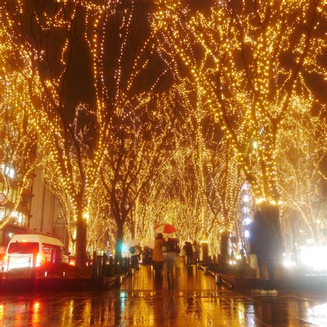 仙台光のページェントリベンジ③ By Ru39x （id：9265447） 写真共有サイトphotohito