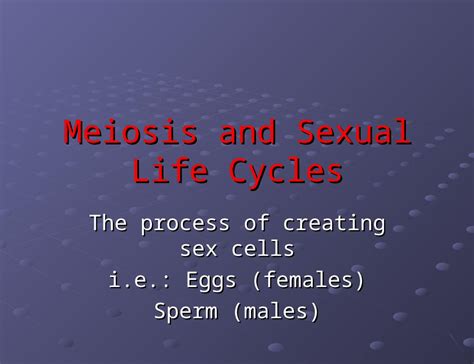 PPT Meiosis And Sexual Life Cycles The Process Of Creating Sex Cells I E Eggs Females