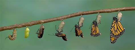 4 Reasons Why You Should Turn Excel Into Web Apps Now Caspio