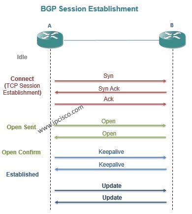BGP Part BGP Peers BGP Sessions BGP Messages IpCisco