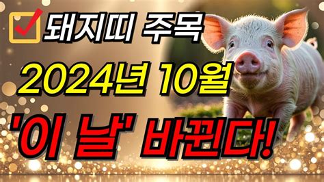 돼지띠 10월 운세 반드시 이날 로또사야 당첨됩니다 로또 1등 당첨되는 대박 날짜 알려드립니다 2024년 대박나는 돼지띠 운세 47년생 59년생 71년생 83년생 95년생