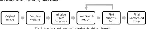 Figure 1 From Automatic Segmentation Of Seven Retinal Layers In Sdoct Images Congruent With