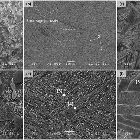 Typical Microstructure At A Transverse Cross Section Of A Wrought Download Scientific