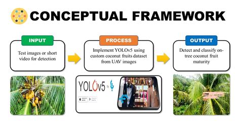 Real Time On Tree Coconut Fruit Maturity Detection Using Deep Neural Network Youtube