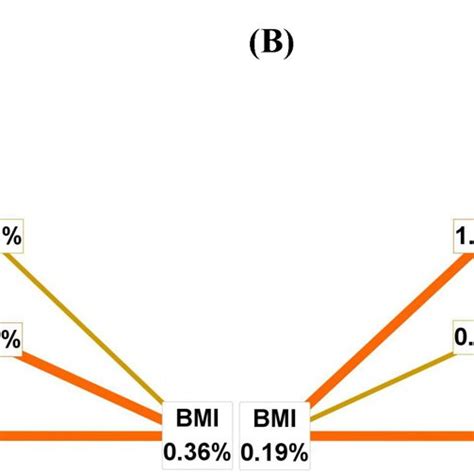 Interaction Entropy Graphs For The Gene Environment Interactions
