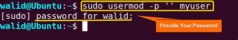 Ways To Delete The User Password In Ubuntu