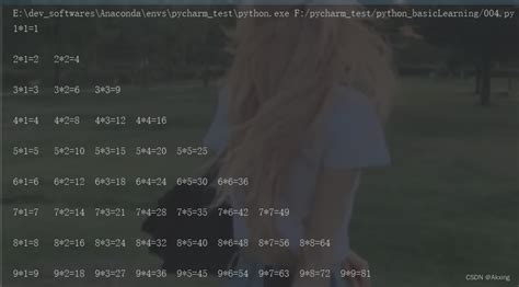 Python函数创建和执行python定义函数 Csdn博客