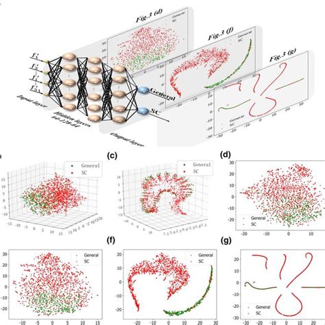 Illustration Of A‐softmax Loss Function A Which Enlarges The Download Scientific Diagram