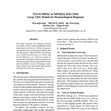 TEAM MIPAL At MEDIQA M G Large VQA Models For Dermatological Diagnosis ACL Anthology