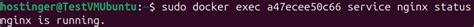 How To Use Docker Exec Command